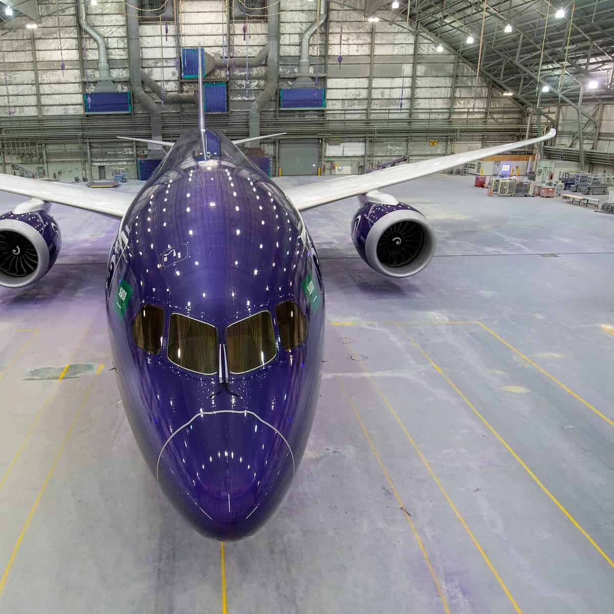 Check out the first images of Riyadh Air livery design - The Siasat ...